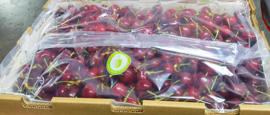 StePacPPC - Our Latest News