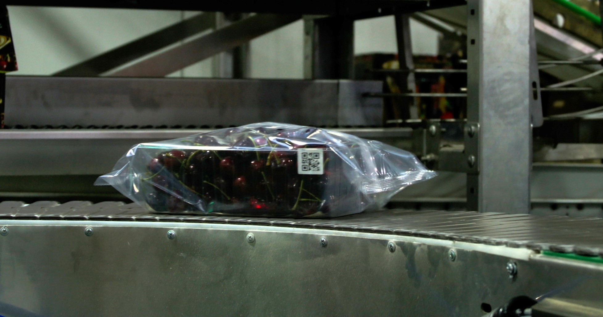 Revolutionizing Cherry Packing: The Power of Automation - StePacPPC