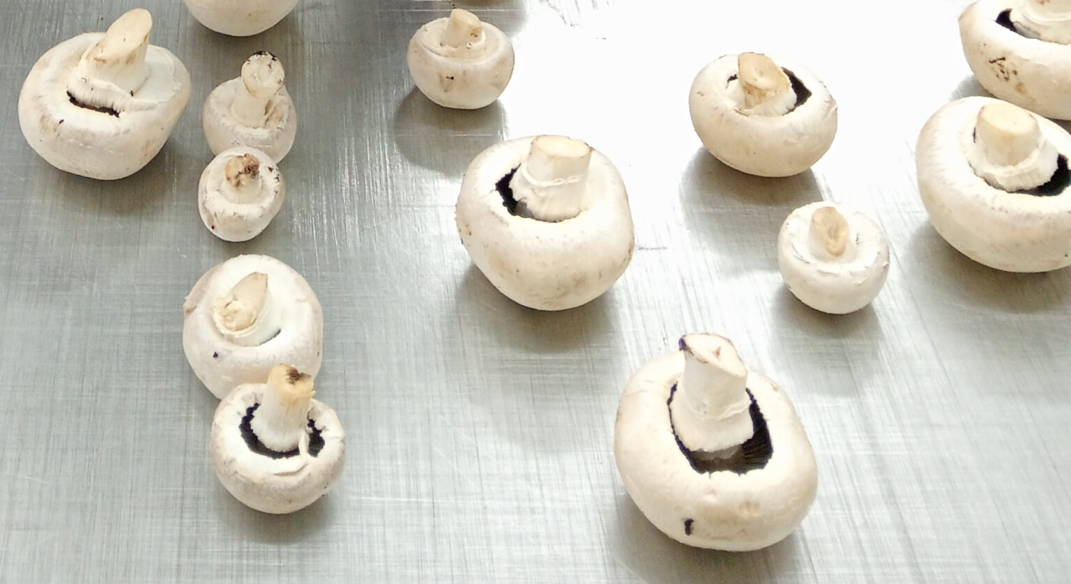 StePac - Fresh Produce Packaging